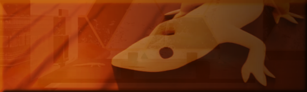 Smart Gecko on Steam