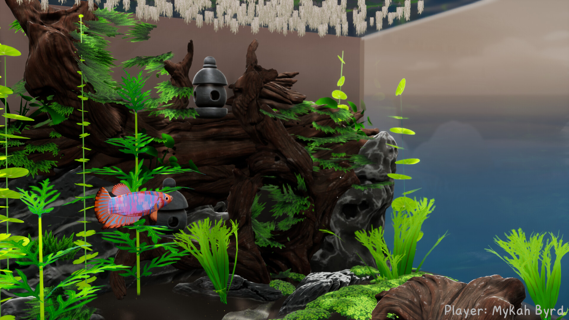 Save 25% on Fish Game on Steam