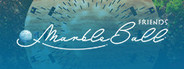 Marble Ball Friends - Fixed (Ver 1.1.1) - Steam News