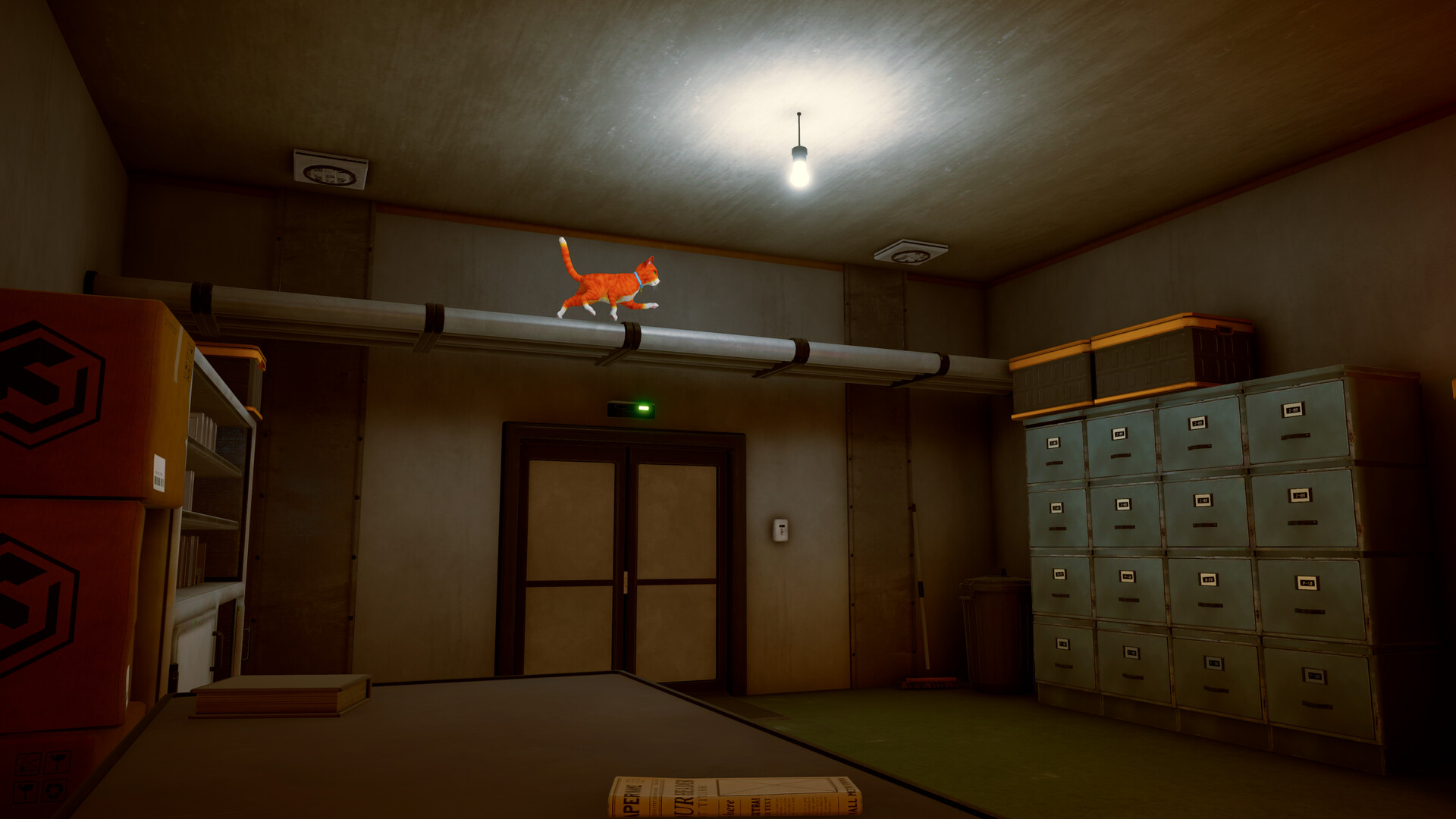 Schrodinger's Cat Burglar on Steam