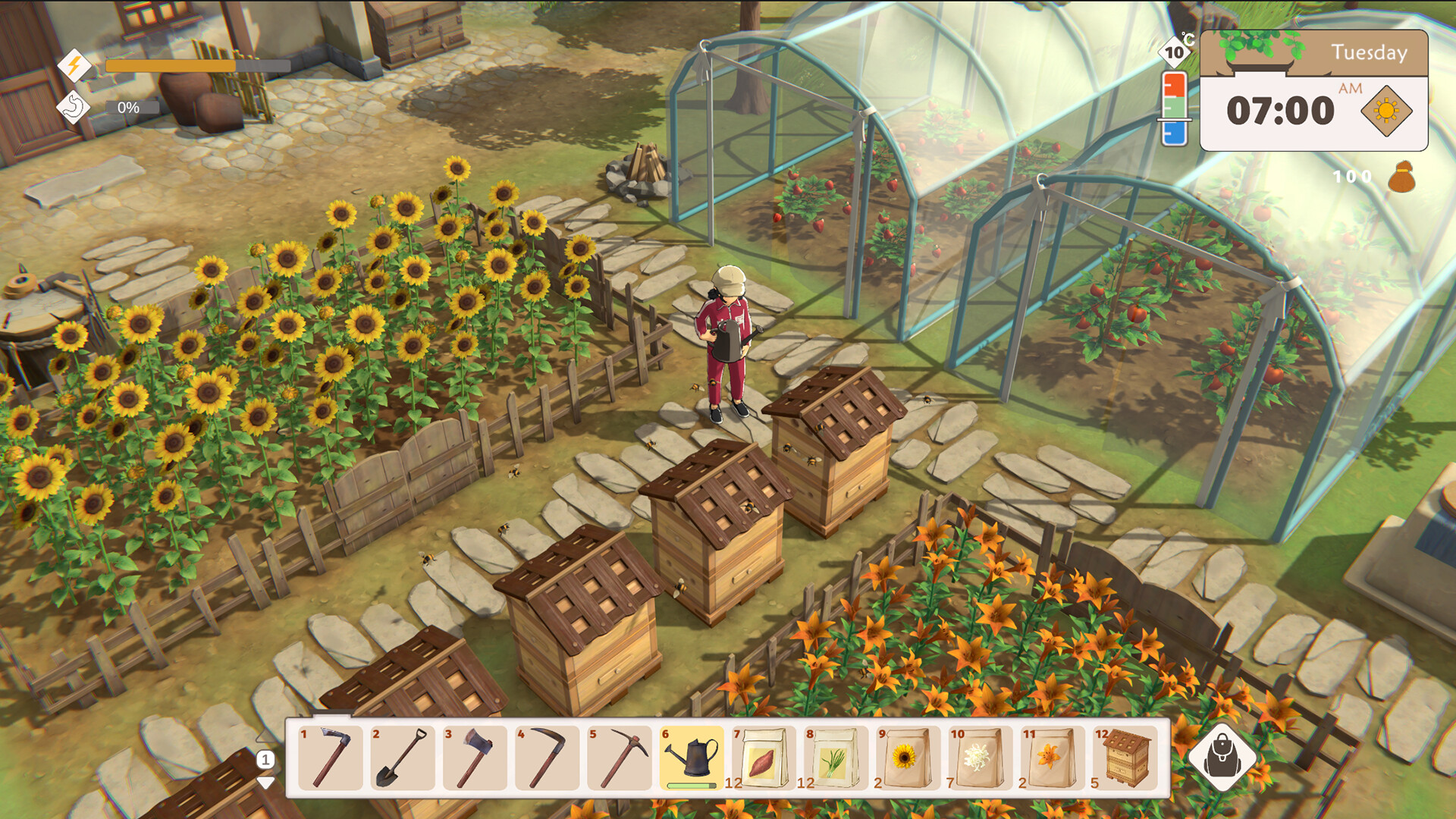 Litchi Town on Steam