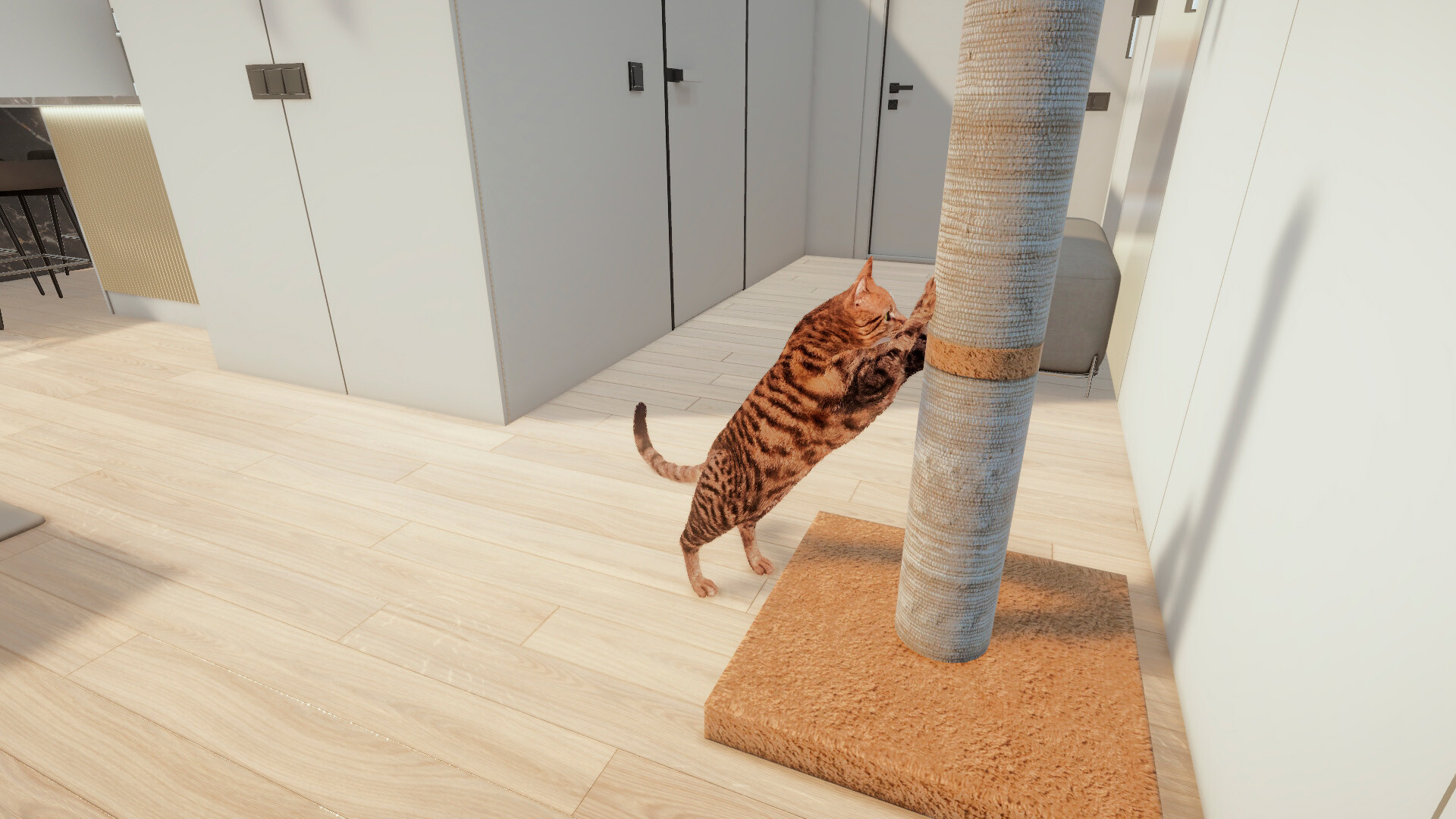 CATS GAME: stray cat, pet kitty, dog simulation adventure | Deku Deals