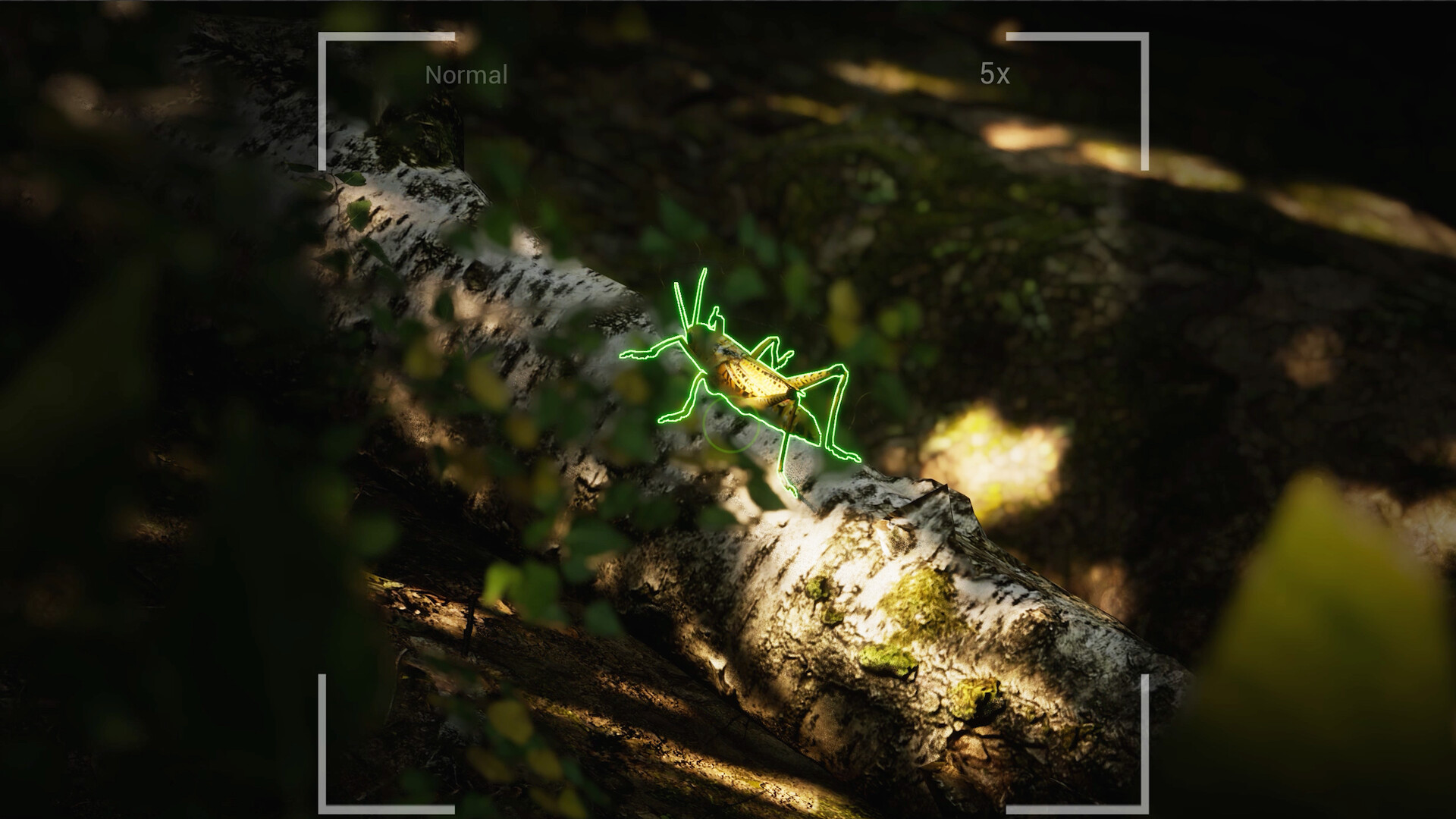 Morels: The Hunt 2 on Steam