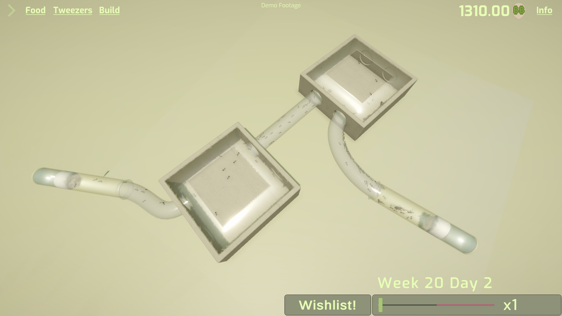 Ant Keeping Simulator on Steam