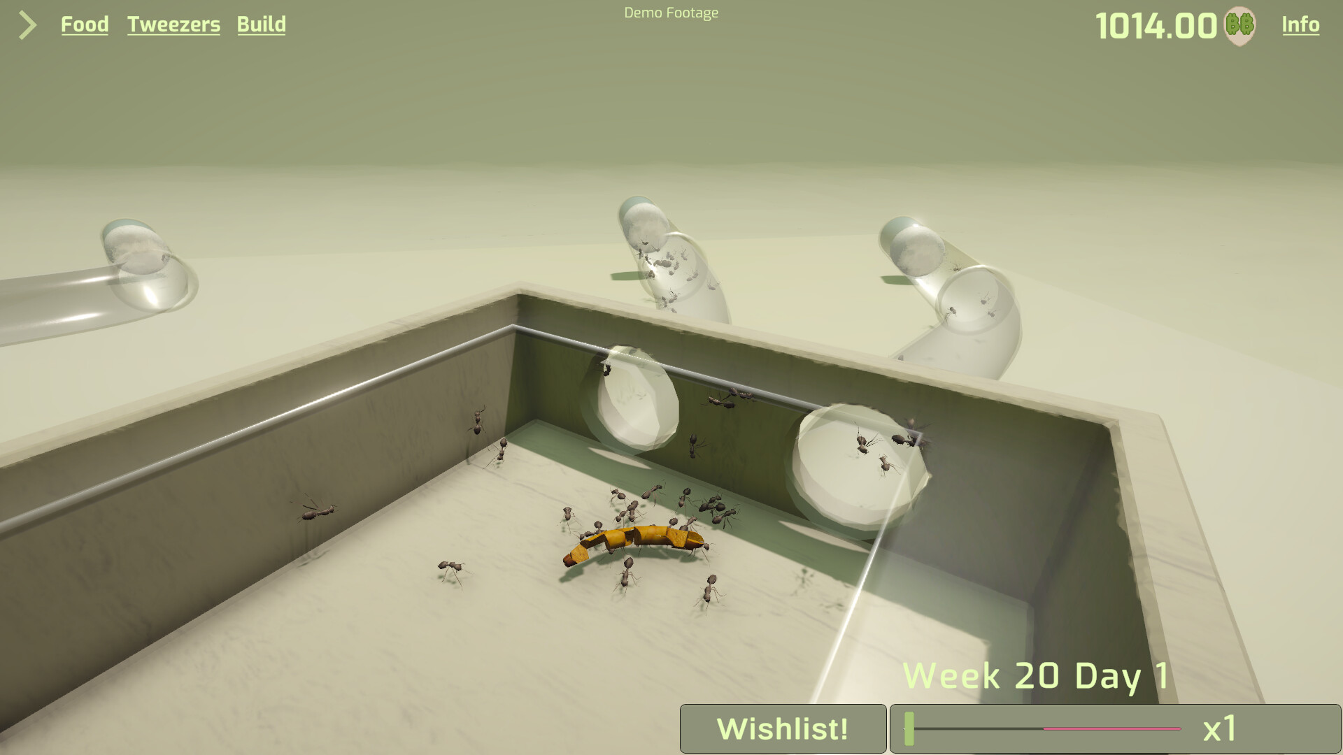 Ant Keeping Simulator on Steam