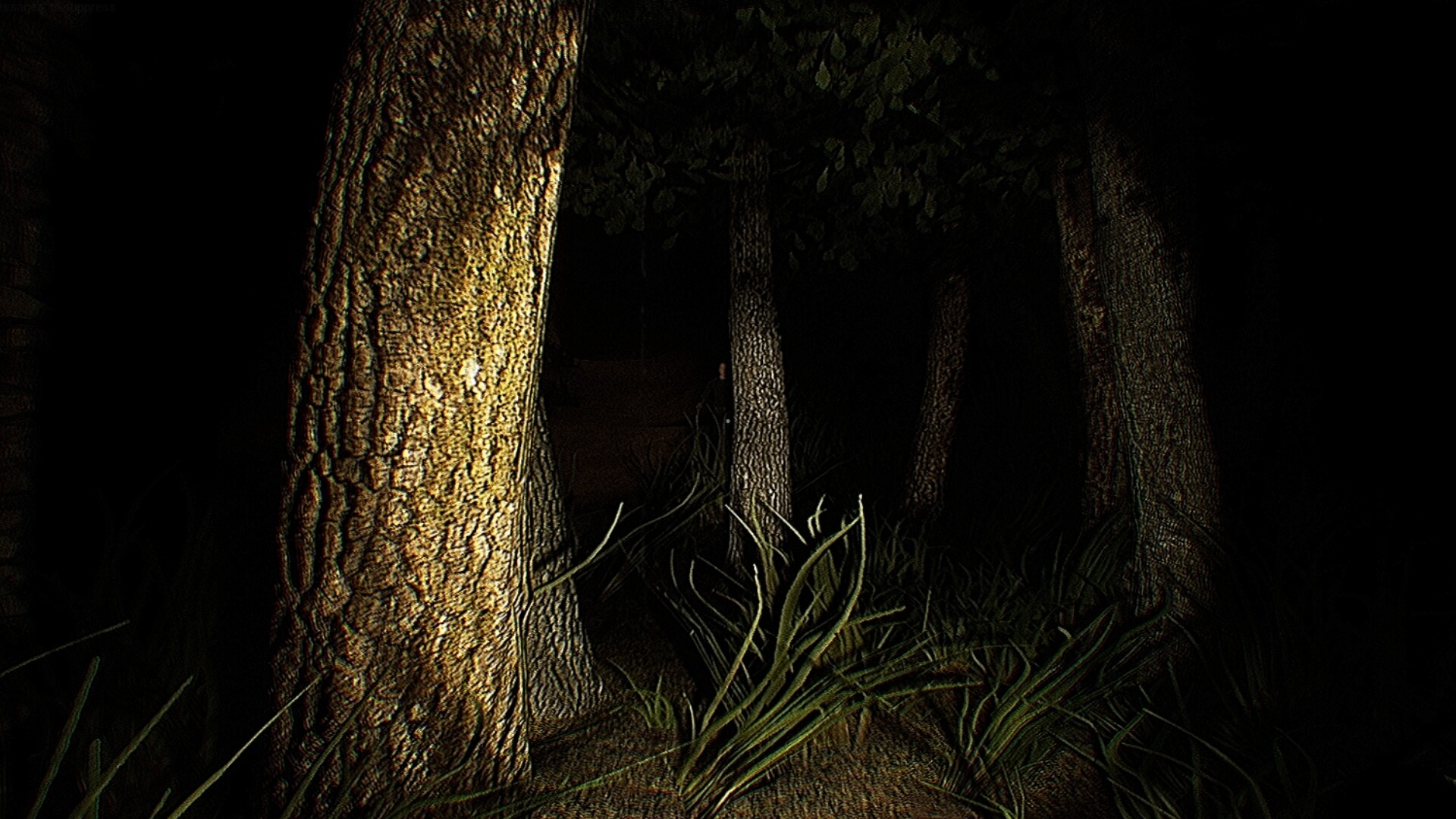 Agora Project on Steam