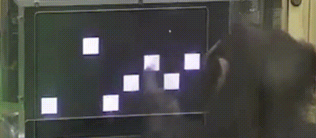 Chimp Memory on Steam