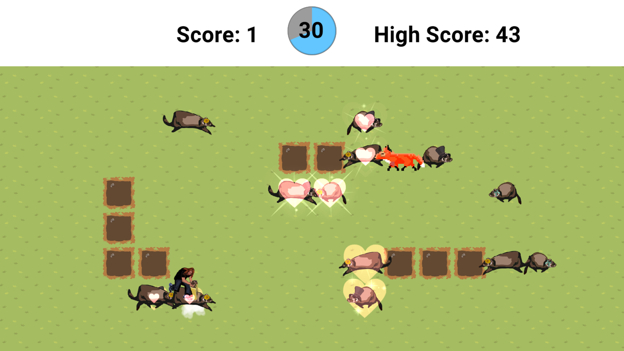 Ferret Frenzy | Deku Deals