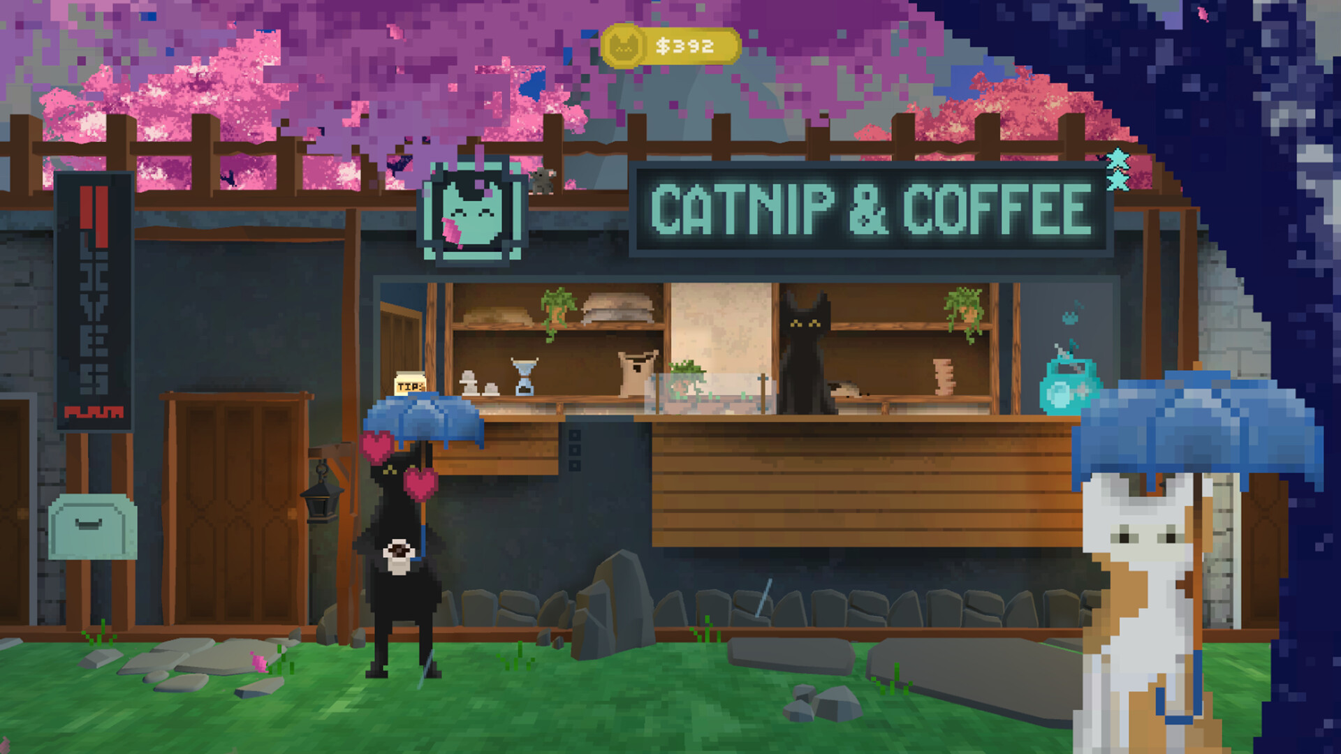 Catnip & Coffee | Deku Deals