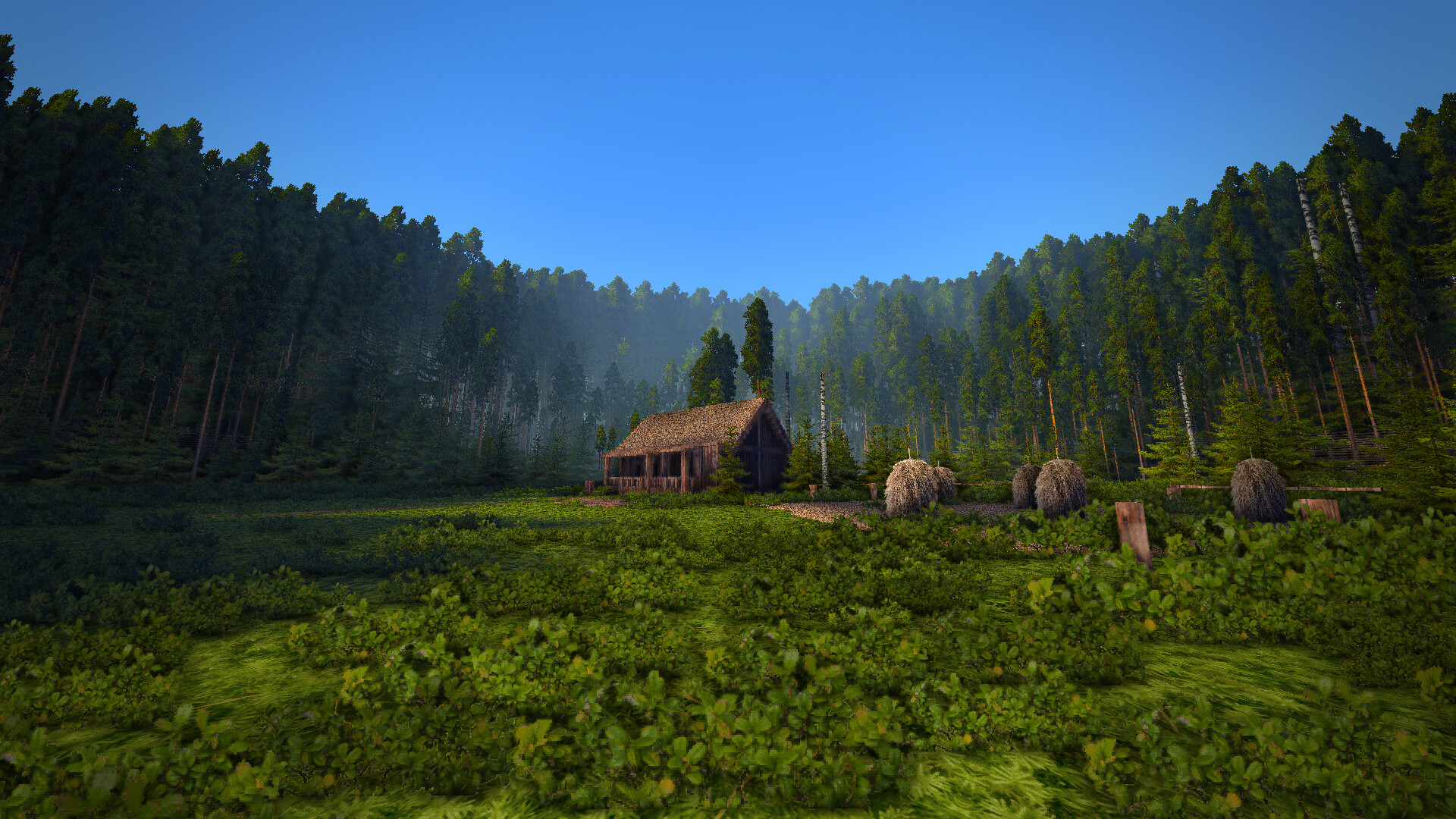 VOIMA on Steam