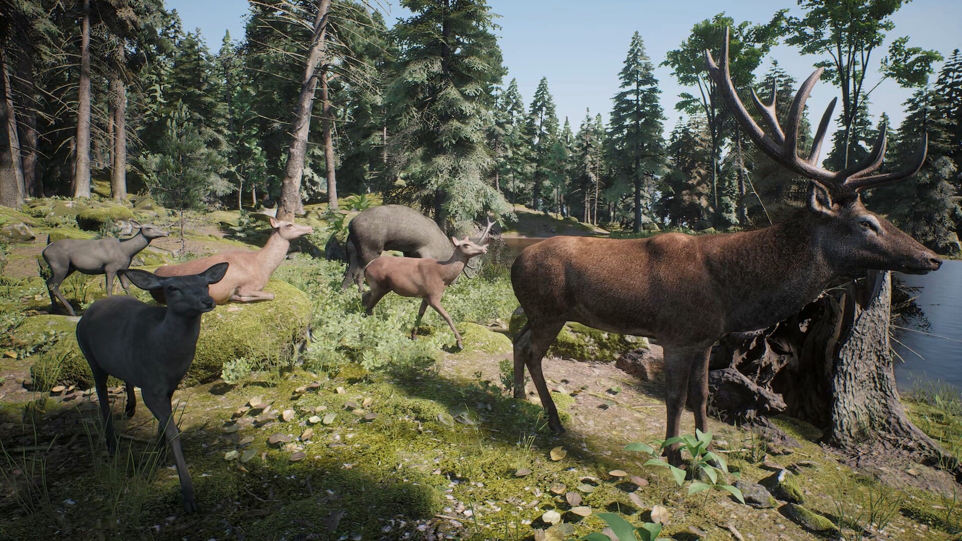 [* New] PROJECT HUNT - Trophy Sanctuary (by Mind Marvels) - (Steam ...