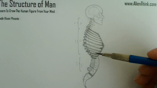 Complete Figure Drawing Course HD Statistics & Popularity | Steam Game ...
