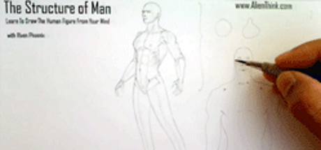 Complete Figure Drawing Course HD: 167 - The Muscles of the Pelvis ...