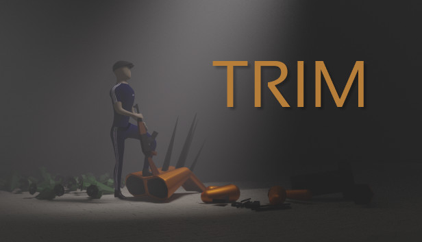 TRIM on Steam