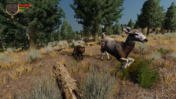 Top 30+ Life Sim games - SteamPeek